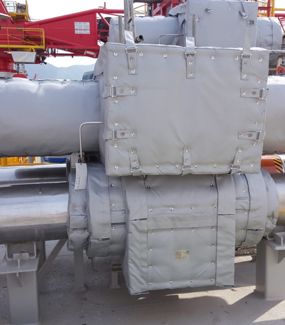 Valve and actuator protection - AIS