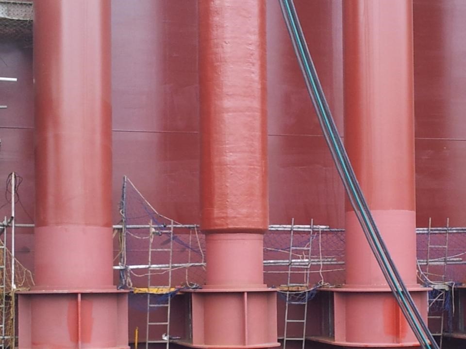 Riser protection - AIS