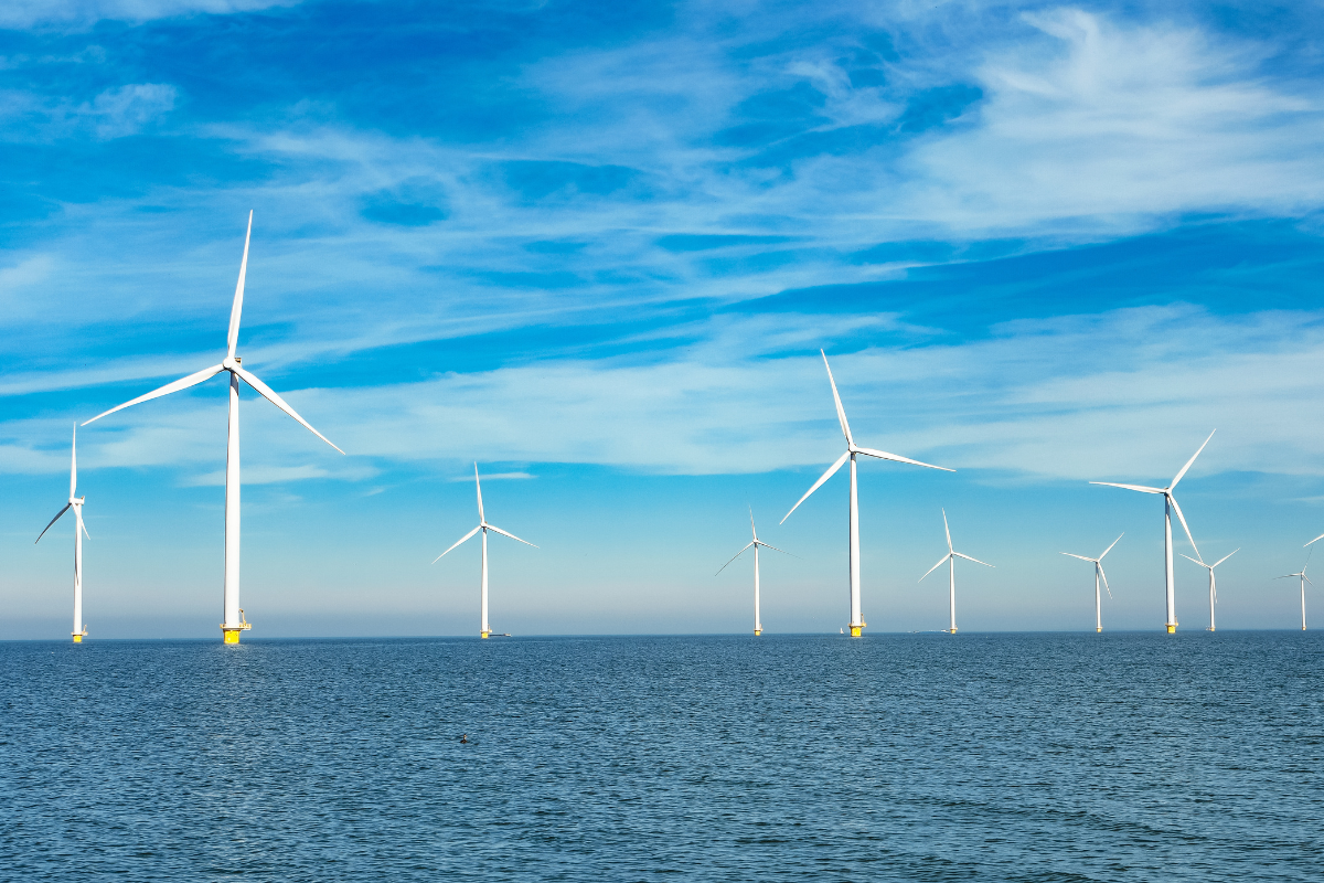 LS Cable & System awards contract for Taiwan’s Fengmiao offshore wind ...